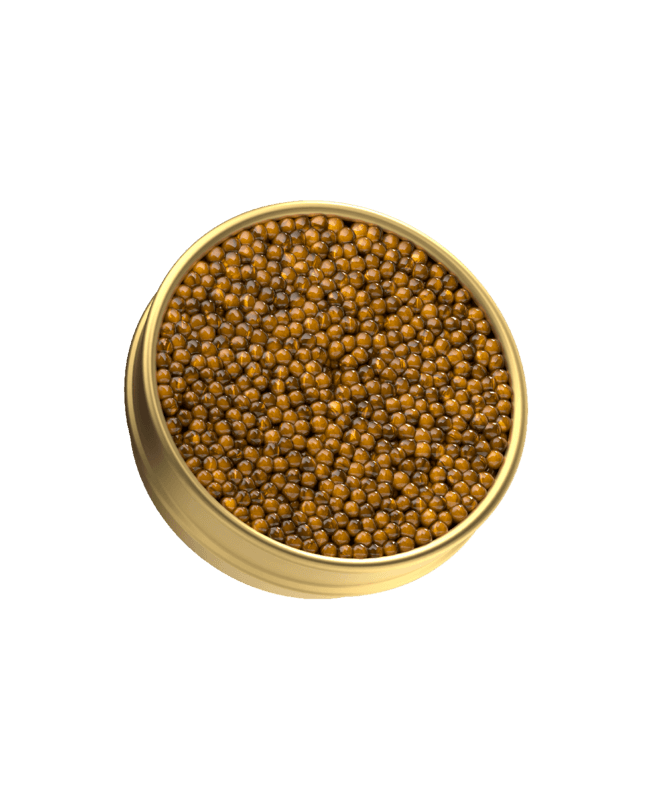 Homepage - N25 - Caviar